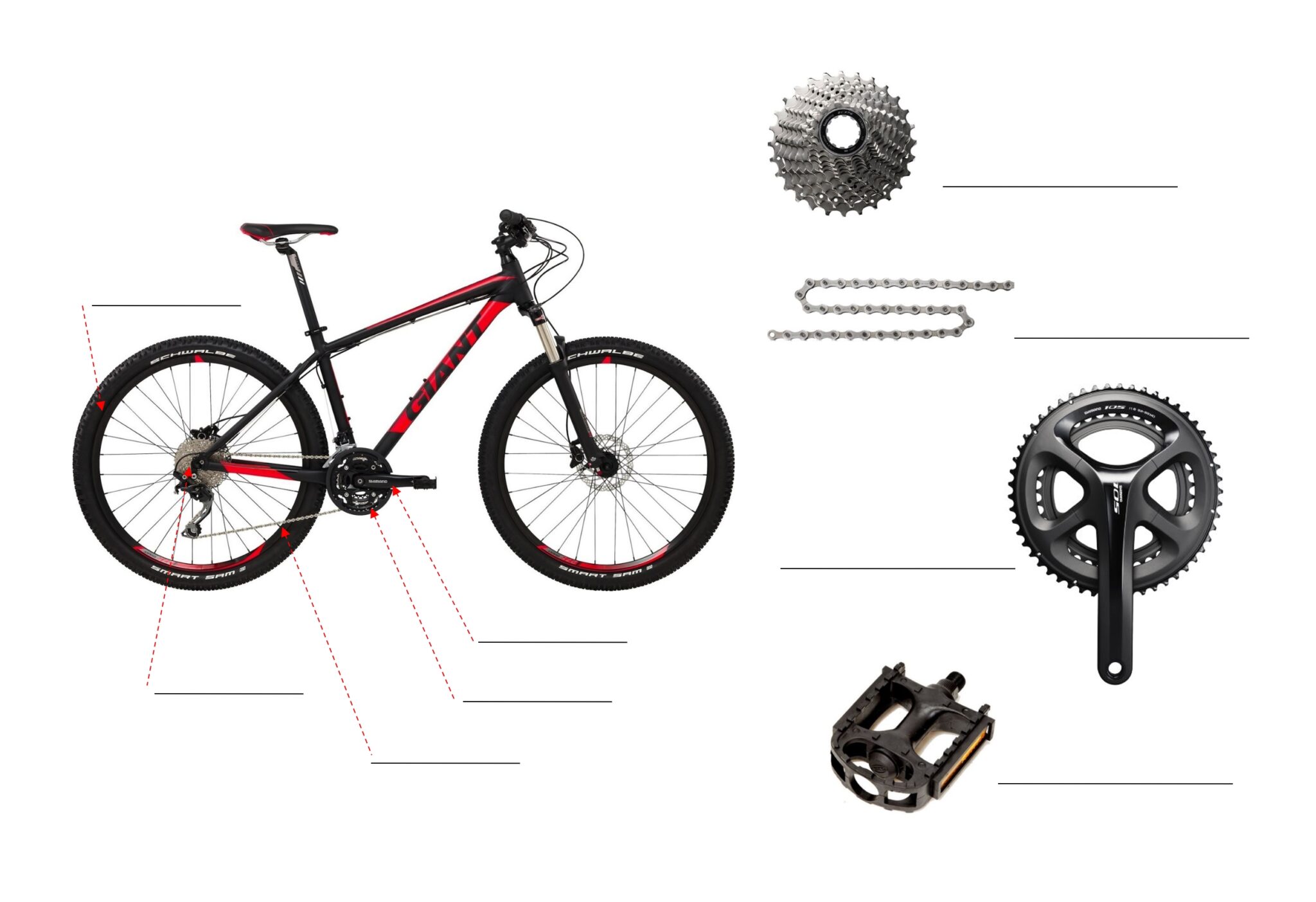 5#11 Fonctions techniques et chaîne d'énergie - TECHNOLOGIE COLLÈGE